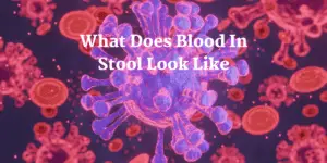 What Does Blood In Stool Look Like - Heal My Hemorrhoids
